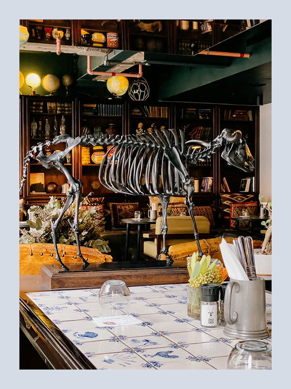 Cape Town | Gorgeous George - Wanderlogue